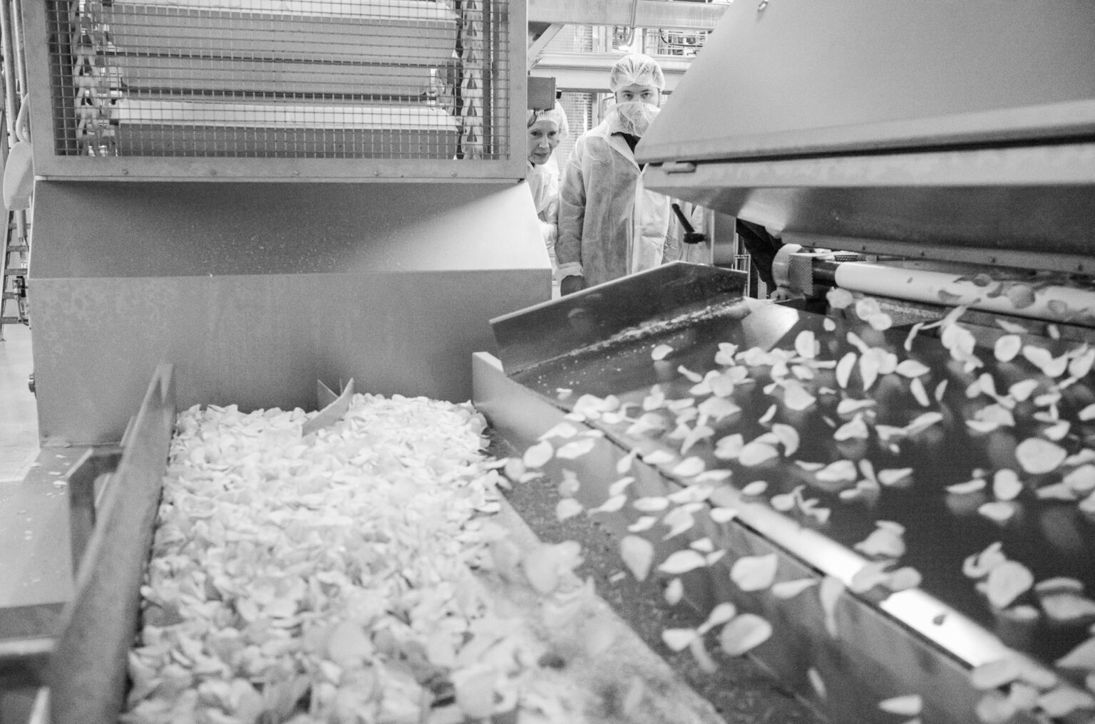 Potetgull, brus og industri - infoturnéen er i gang - Styrke
