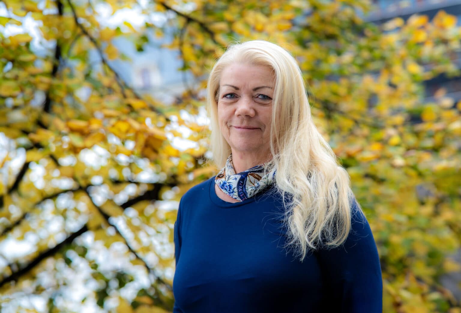 Presse og profil - Styrke